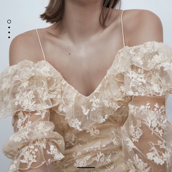 Zara | Tops | Zara Embroidered Blouse | Poshmark